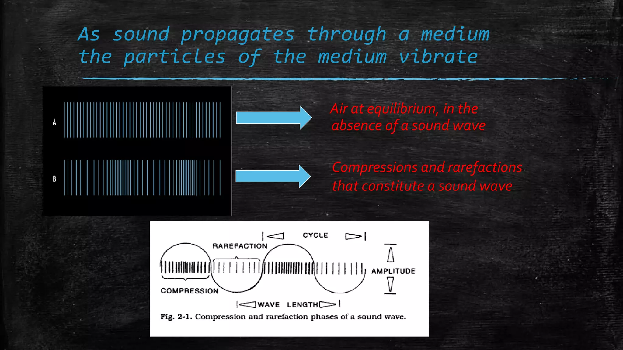 Basics/Physics of Echocardiography | PPTX