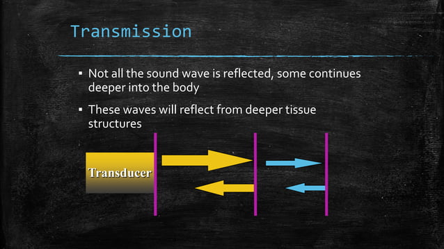 Basics/Physics of Echocardiography | PPTX