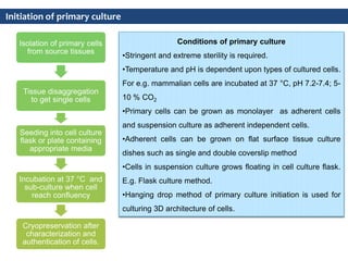 Basics of animal cells culture | PPT