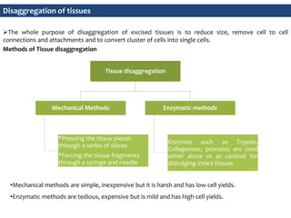 Basics of animal cells culture | PPT