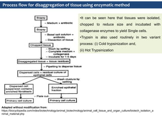 Basics of animal cells culture | PPT