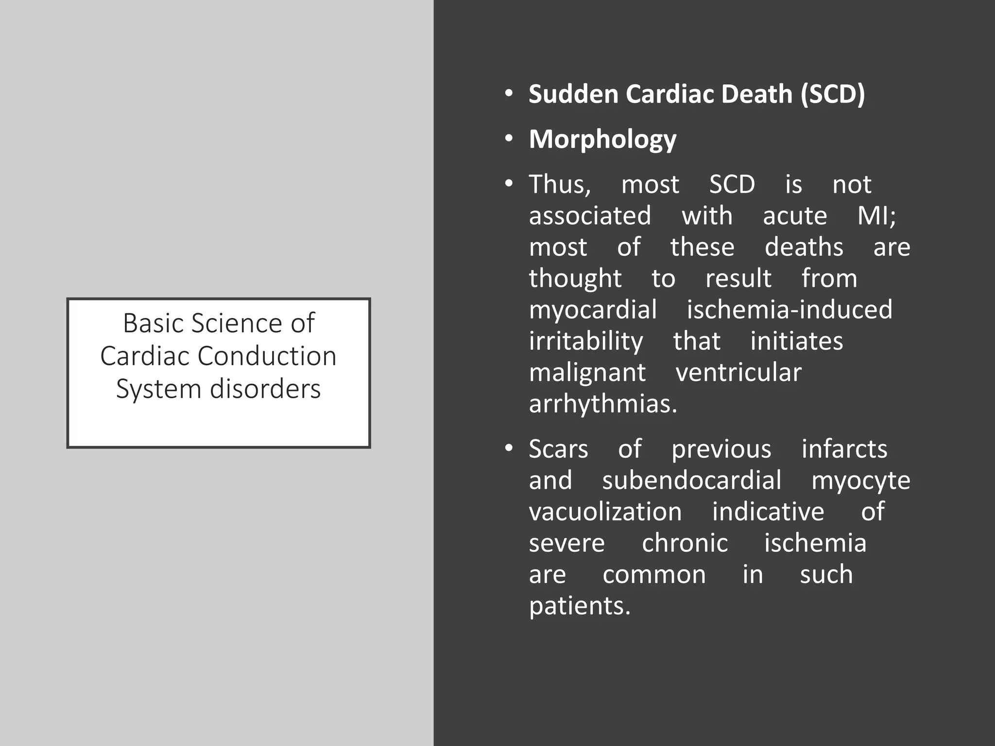 Basic science and forensic pathology aspects of cardiac conduction ...