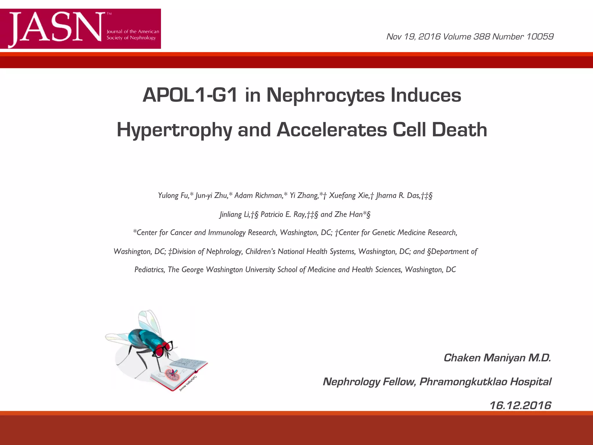 Basic science apol1 gene and nephrocyte chaken | PDF