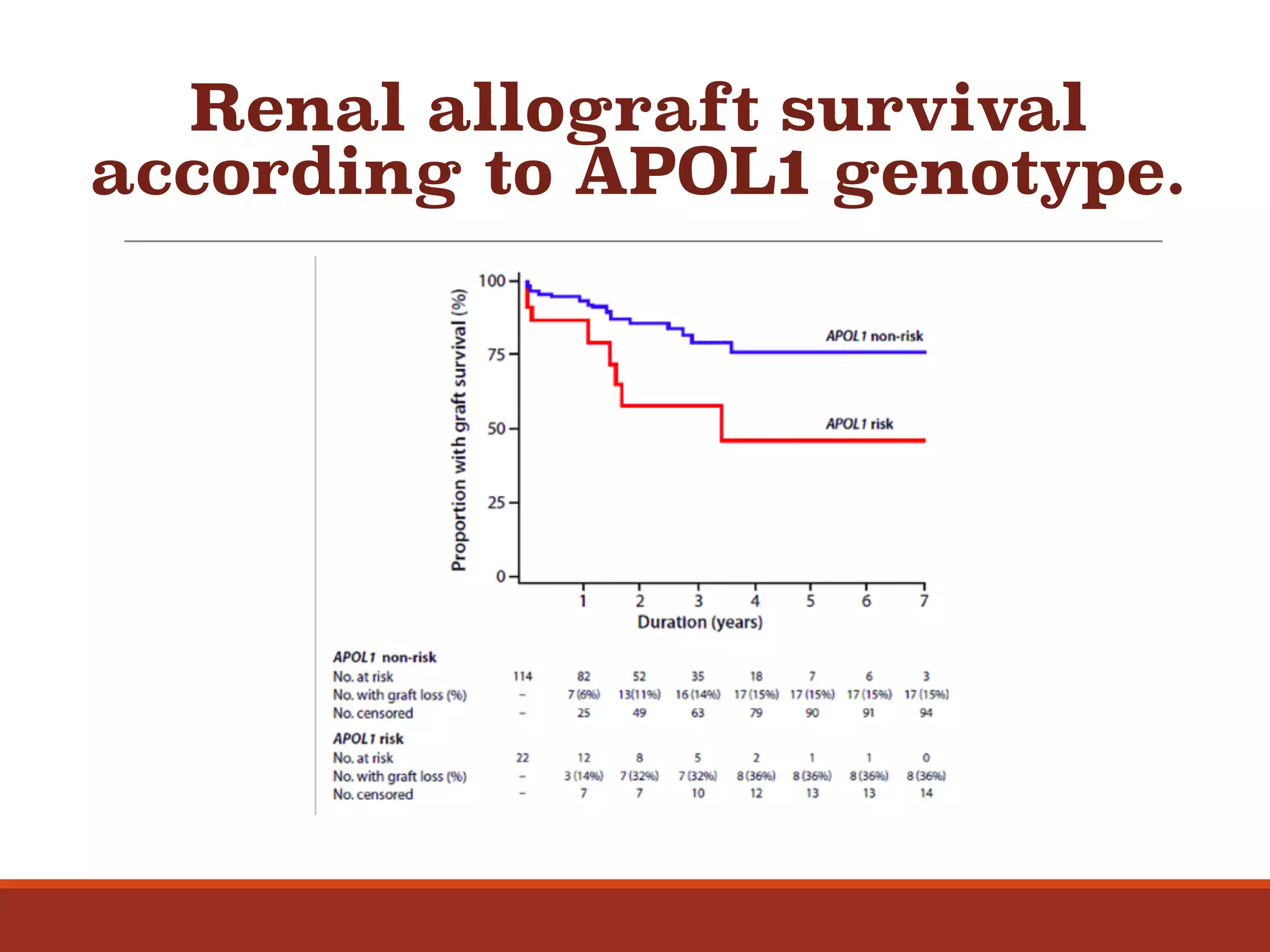 Basic science apol1 gene and nephrocyte chaken | PDF