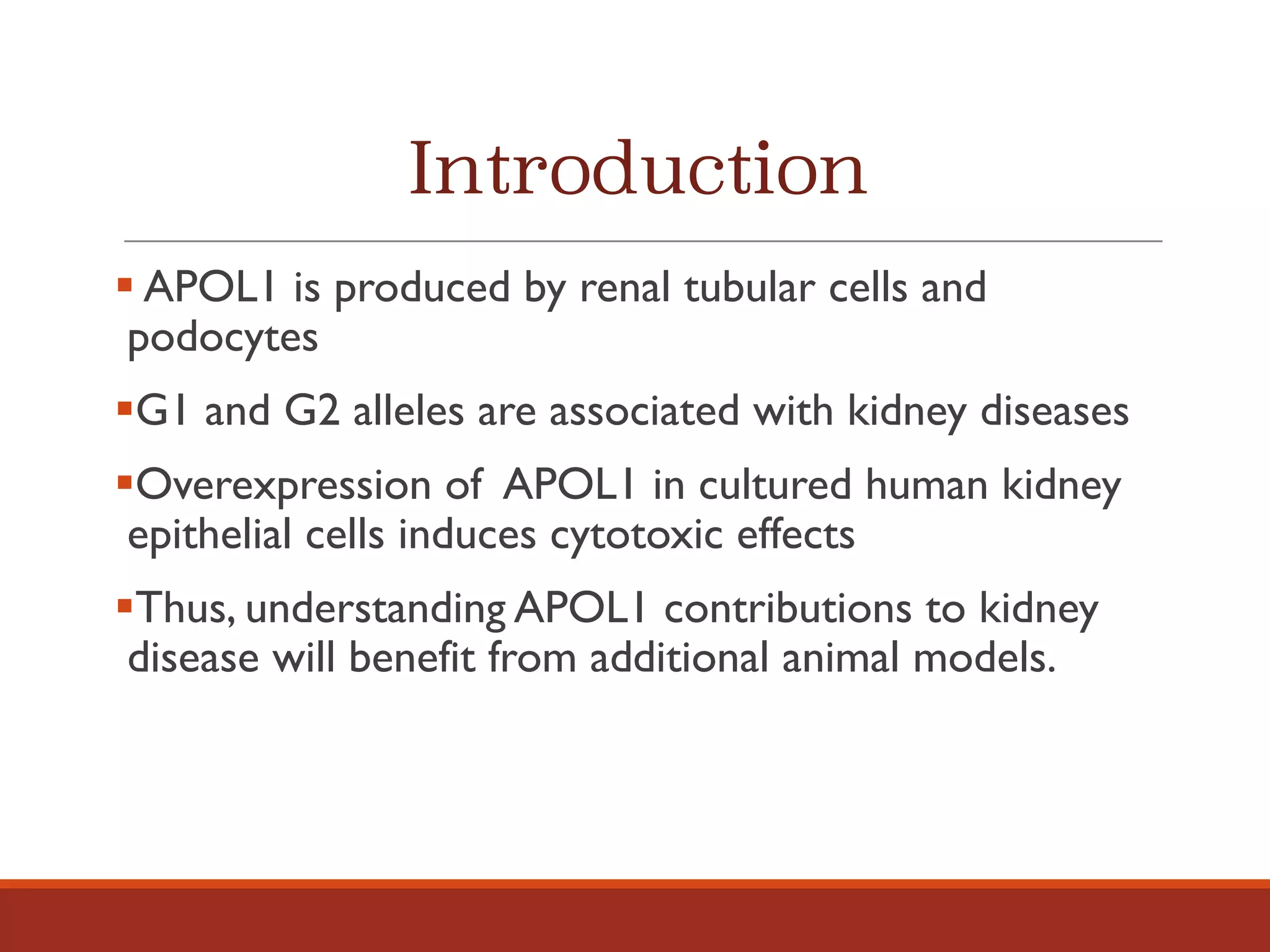 Basic science apol1 gene and nephrocyte chaken | PDF