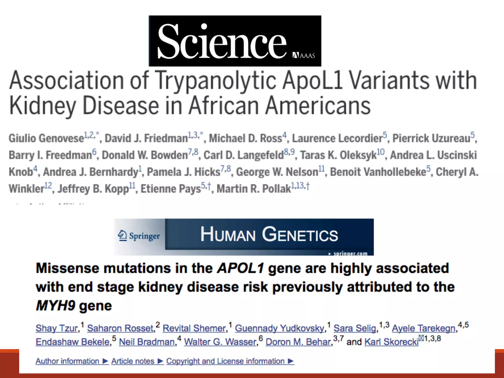 Basic science apol1 gene and nephrocyte chaken | PDF