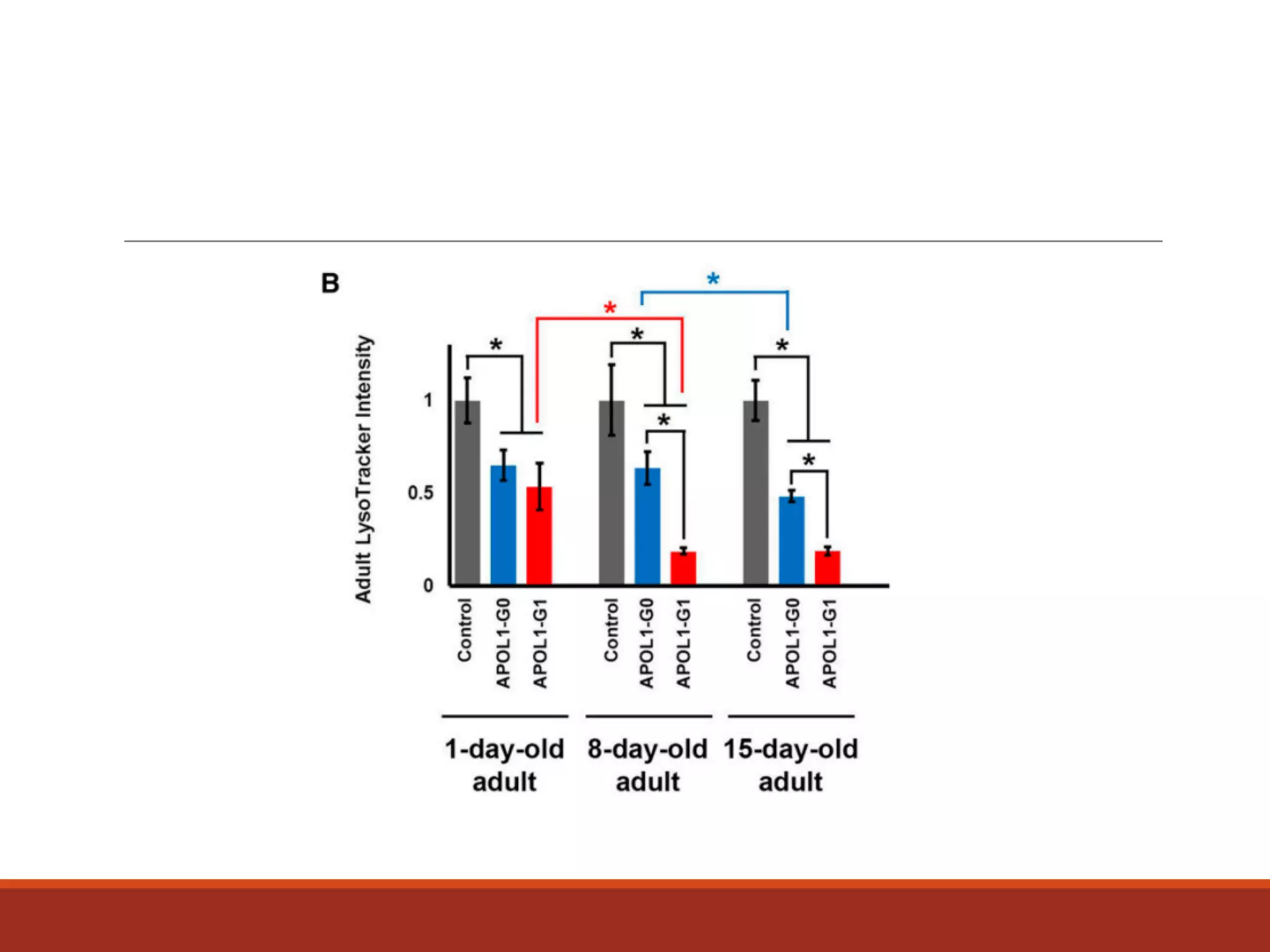 Basic science apol1 gene and nephrocyte chaken | PDF