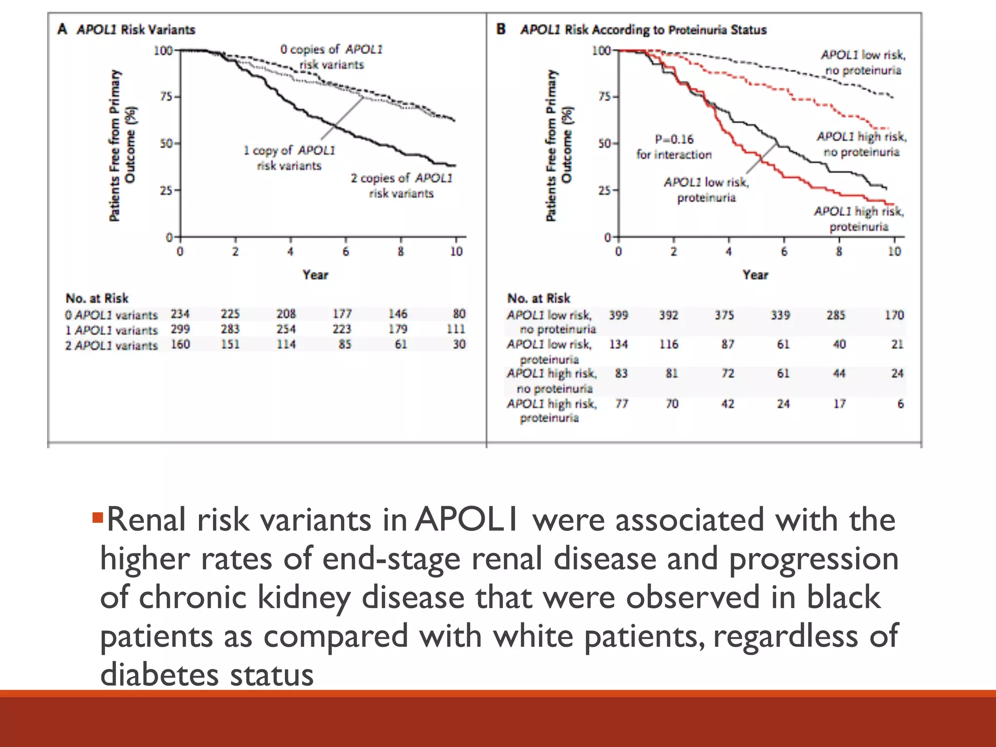 Basic science apol1 gene and nephrocyte chaken | PDF