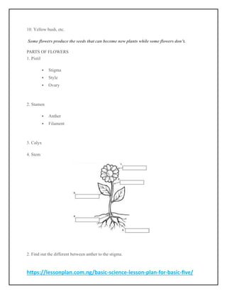 BASIC SCIENCE BASIC FIVE LESSON PLAN.pdf