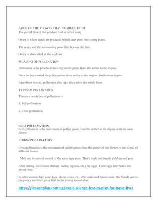 BASIC SCIENCE BASIC FIVE LESSON PLAN.pdf