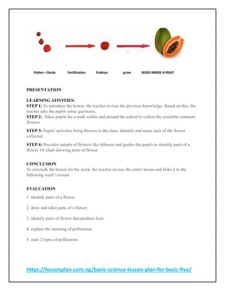 BASIC SCIENCE BASIC FIVE LESSON PLAN.pdf