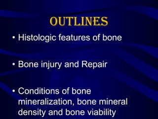Basic science of bone | PPT