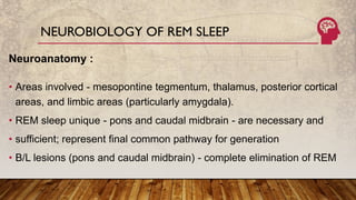 Basic science of sleep by dr. rujul modi | PDF