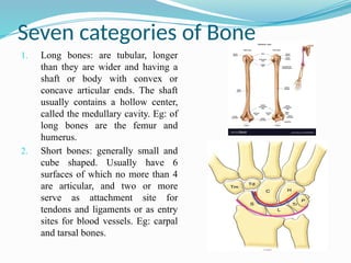 Basic science part I: Bone | PDF