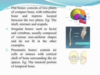 Basic science part I: Bone | PDF