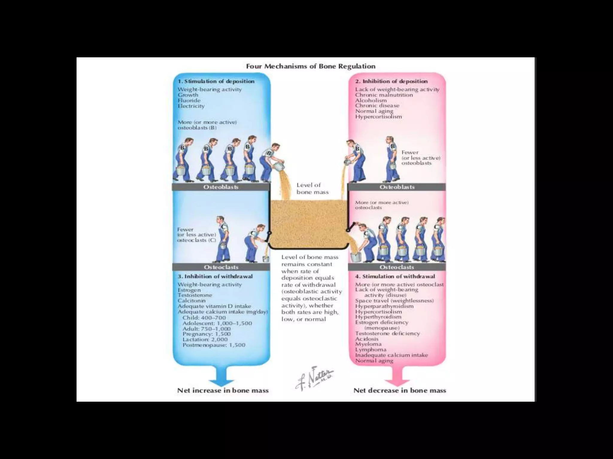 Basic science in Orthopaedic | PPTX