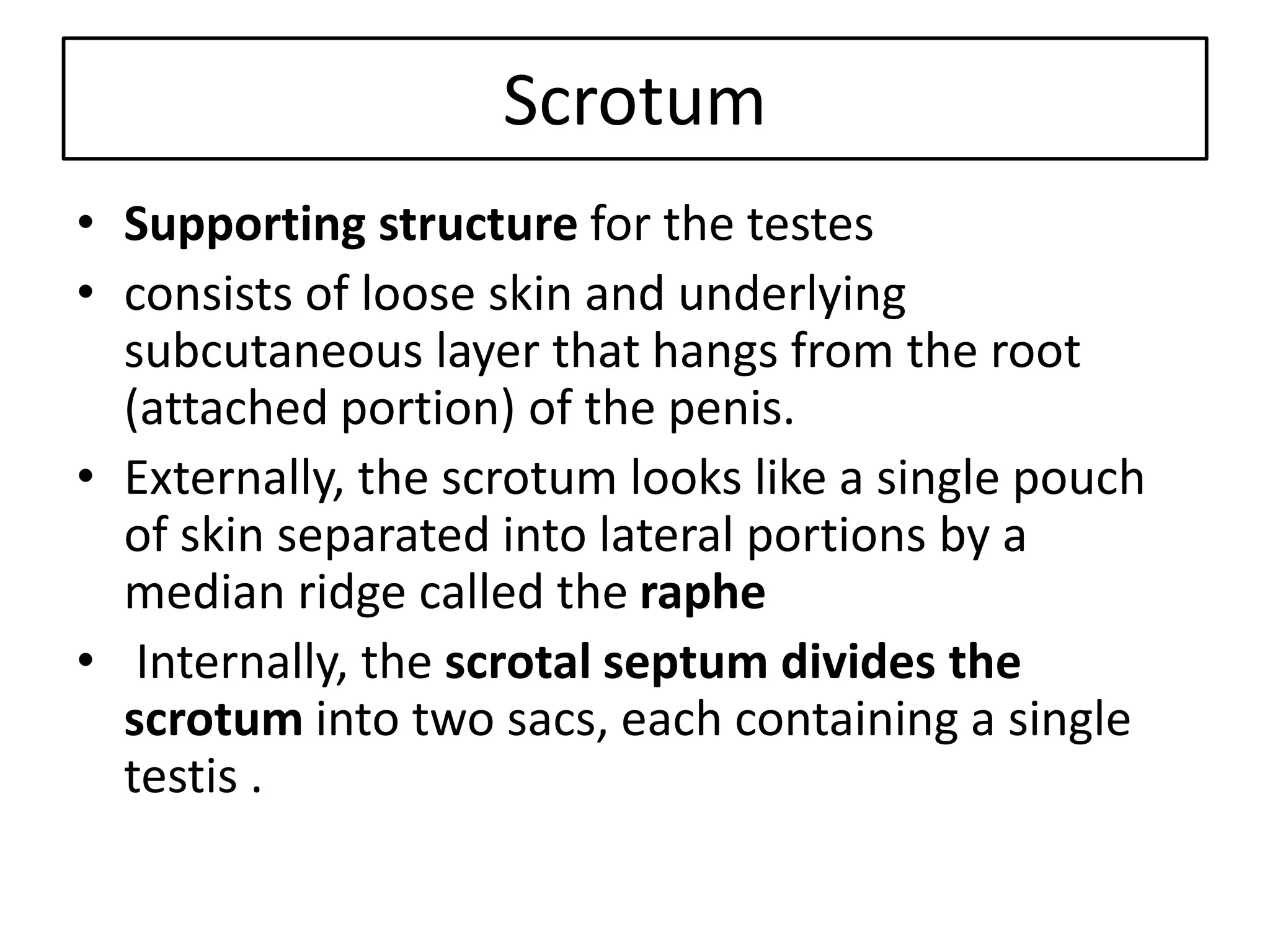 Basics, derma | PPTX