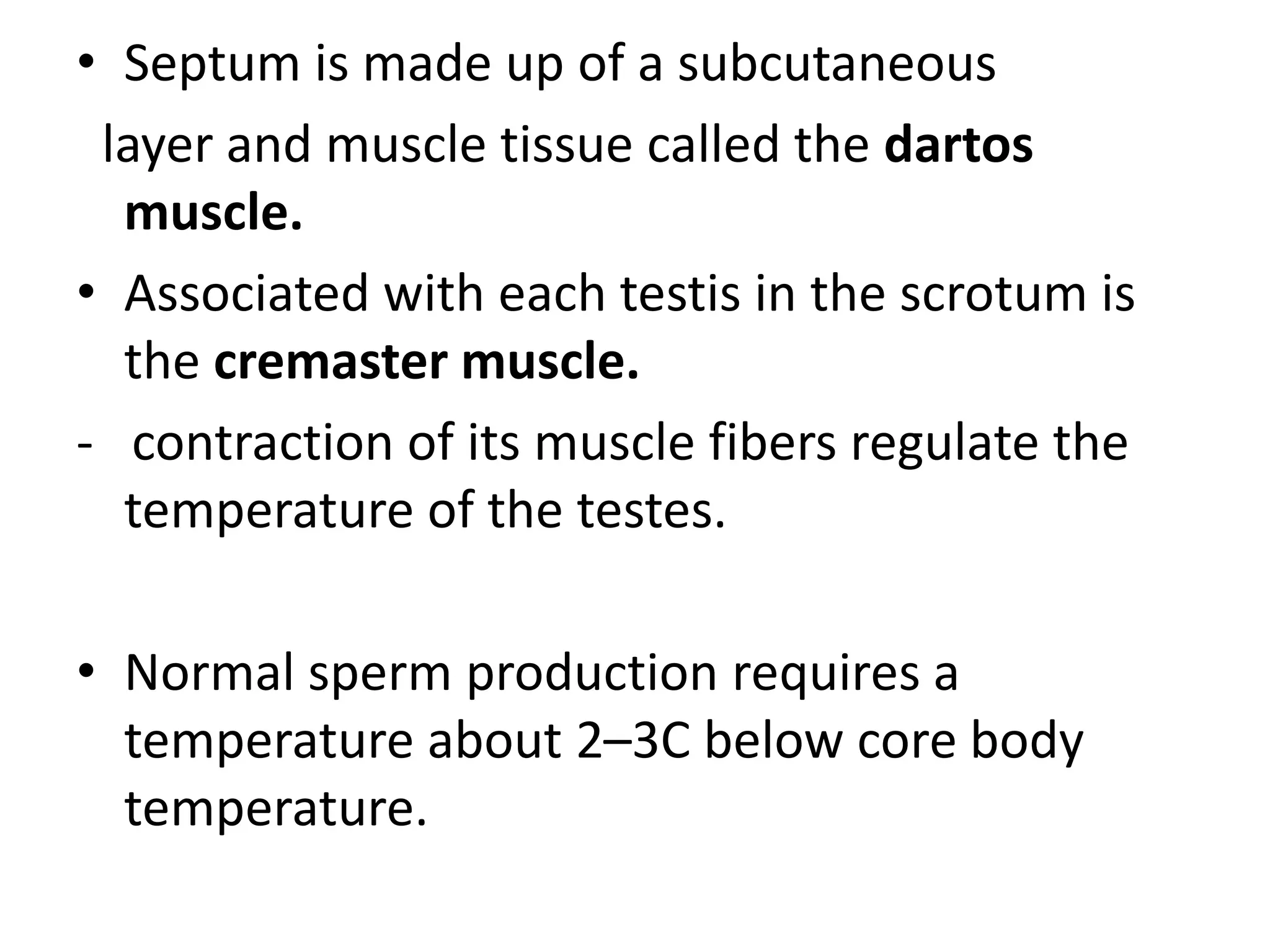 Basics, derma | PPTX