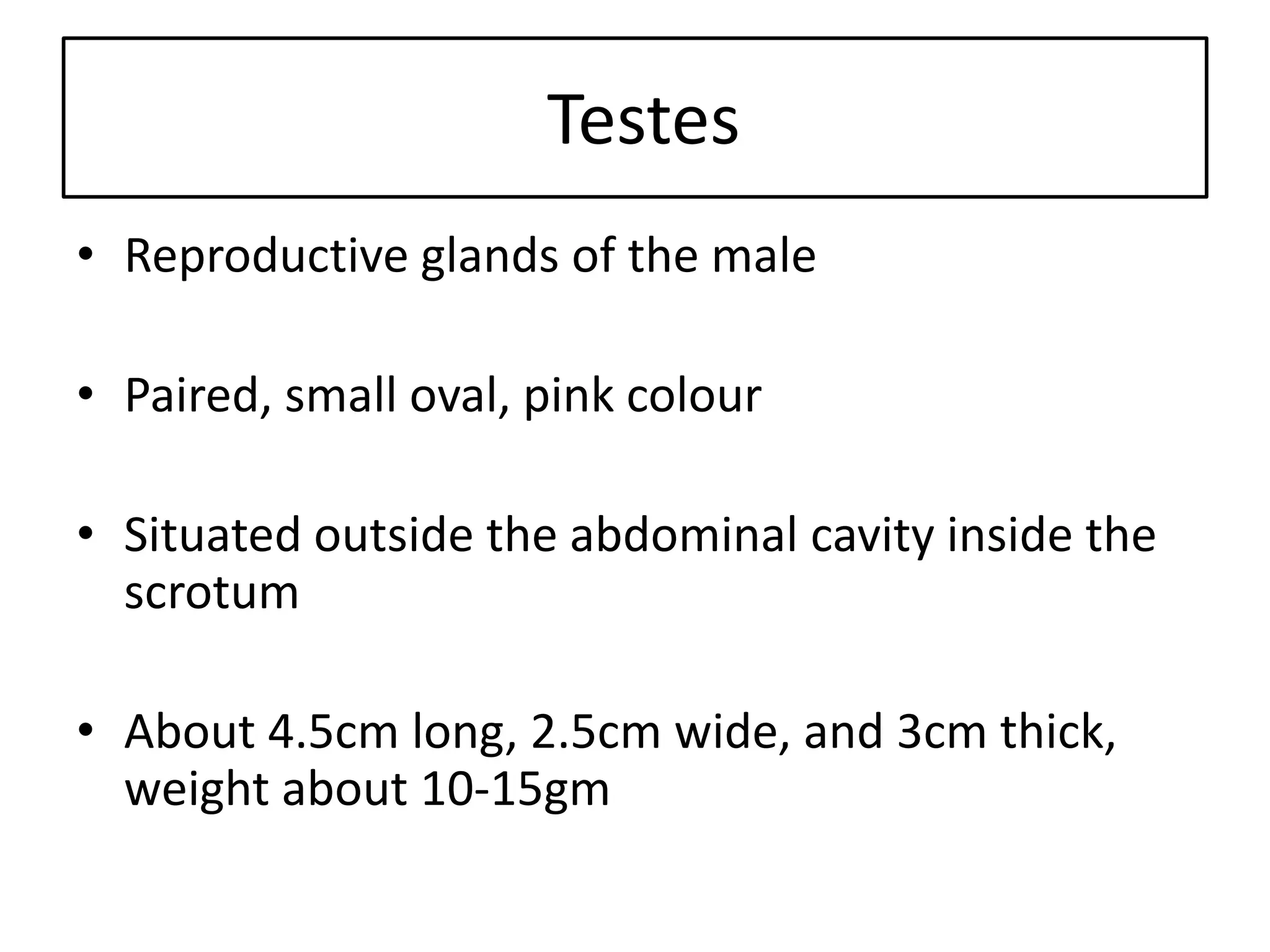 Basics, derma | PPTX