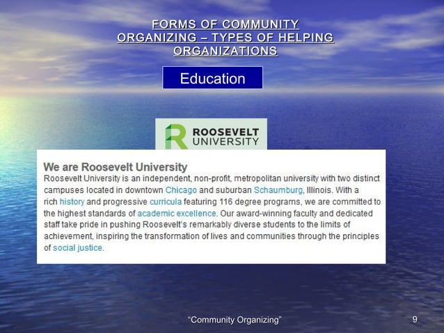 Basics of Direct Action Organizing - 2015 | PPT