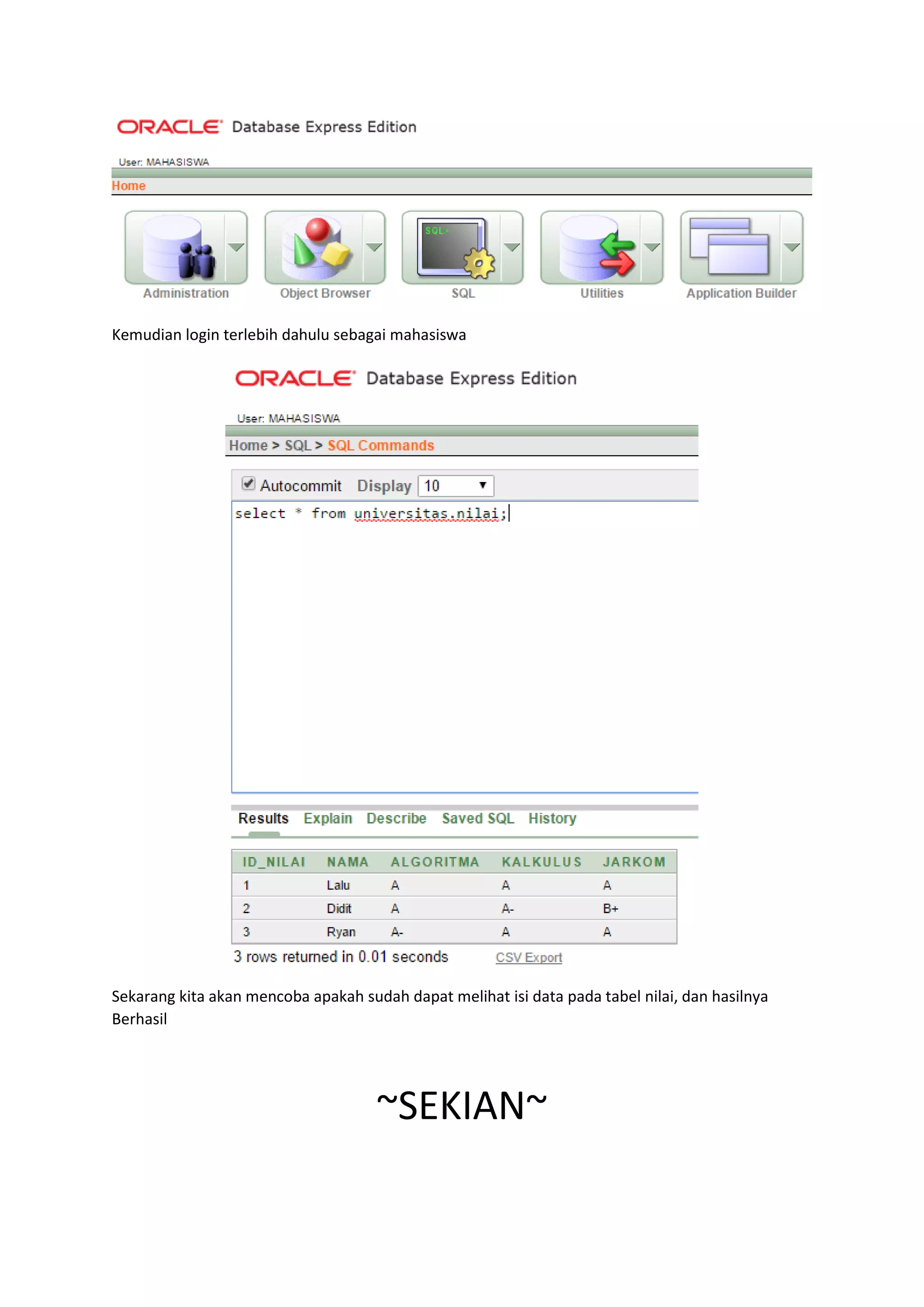 Basic security oracle | PDF