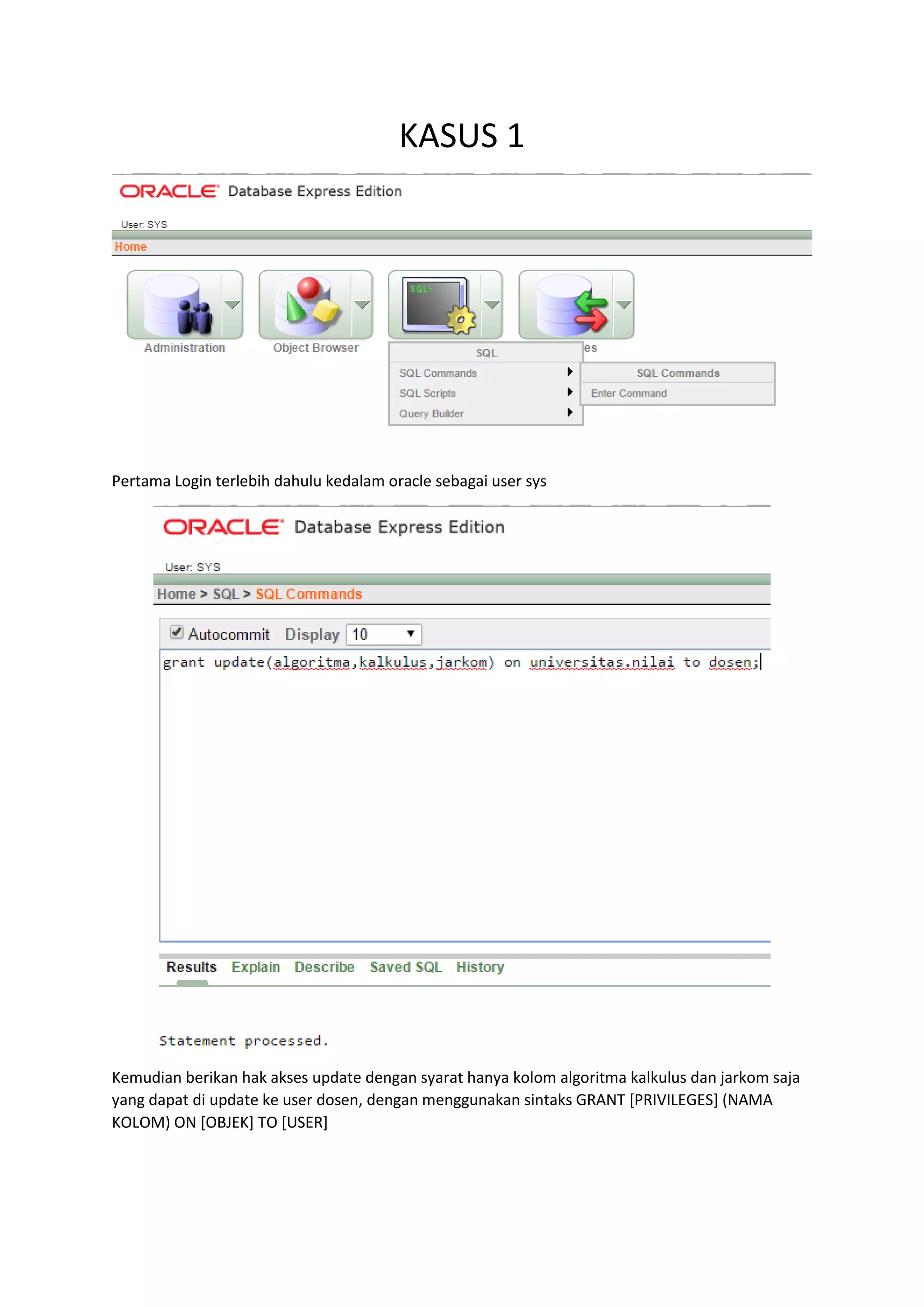Basic security oracle | PDF