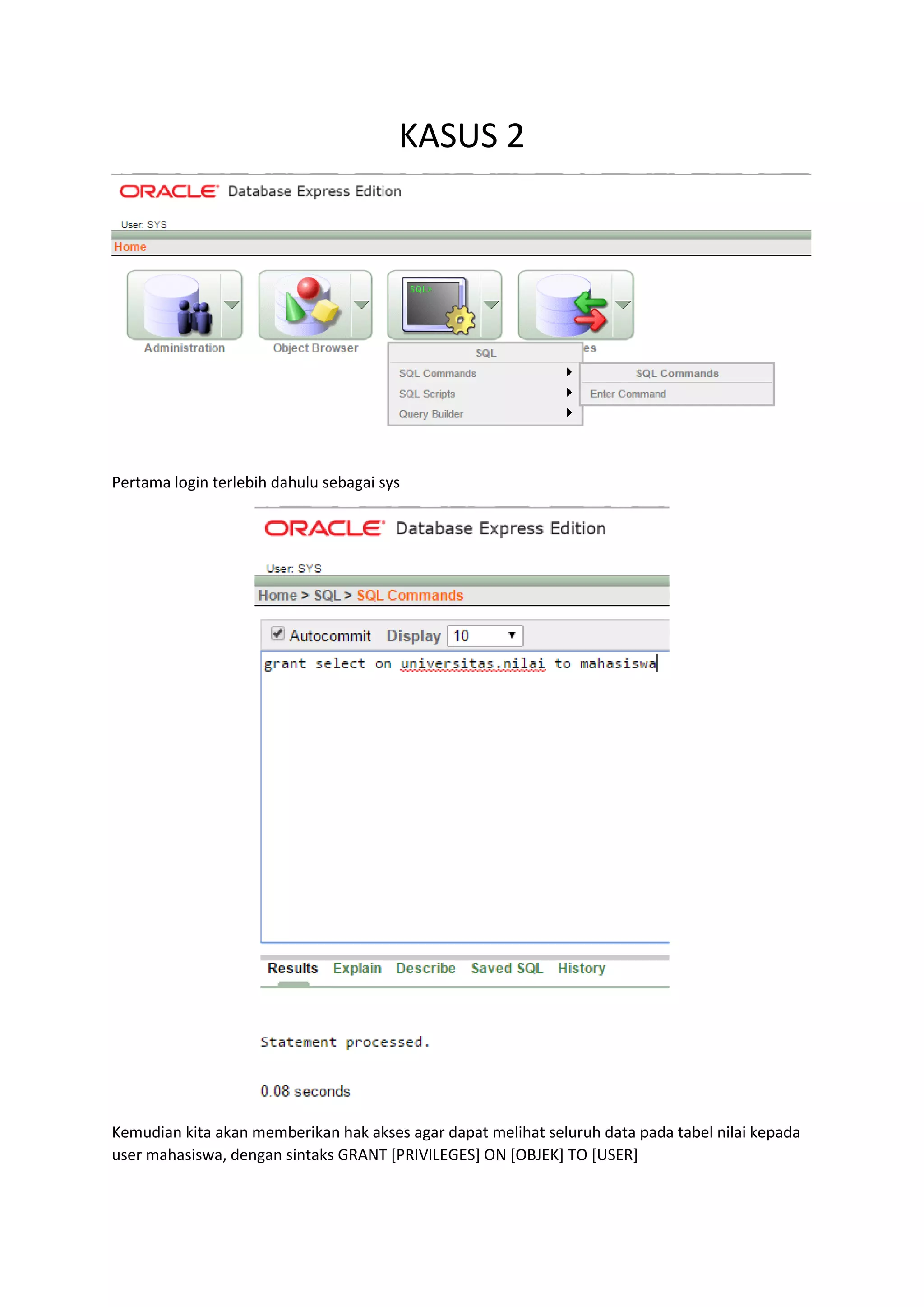 Basic security oracle | PDF