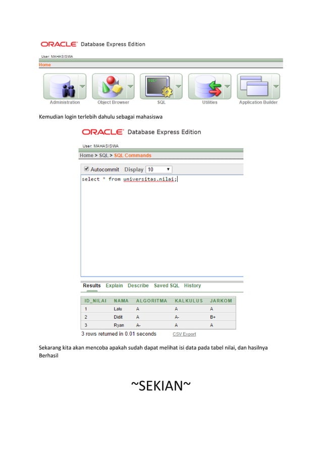 Basic security oracle | PDF