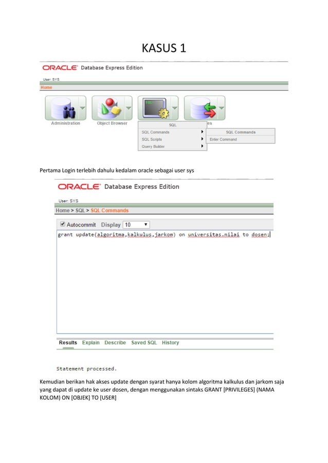 Basic security oracle | PDF