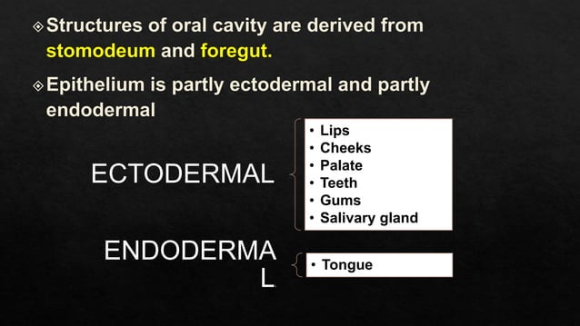 Development of Oral structures and its applied aspects | PPT