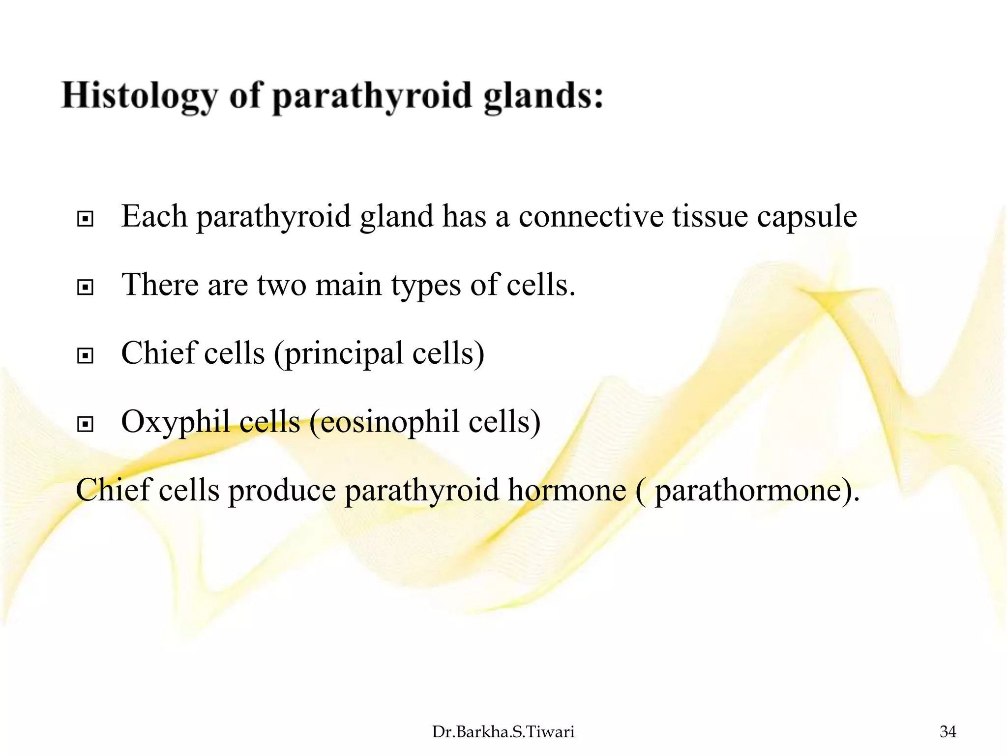 Thyroid and parathyroid glands | PPTX