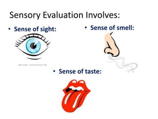 Basic sensory evaluation of beverages | PPTX