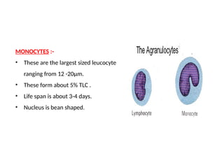Basic Serology(blood,semen, saliva, other body fluids) | PPTX