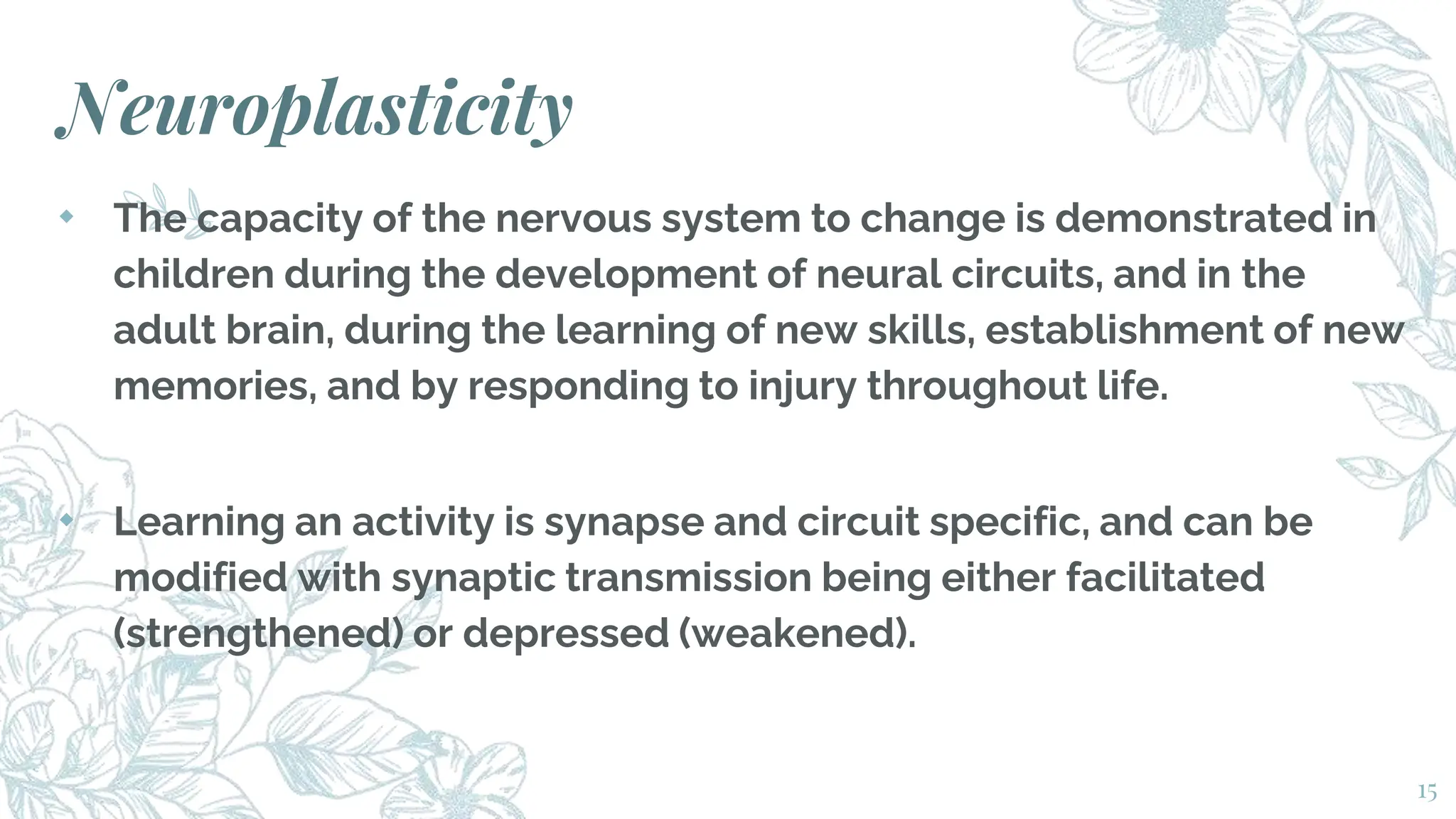 From Neuron To Brain, basics of neuroscience.pptx