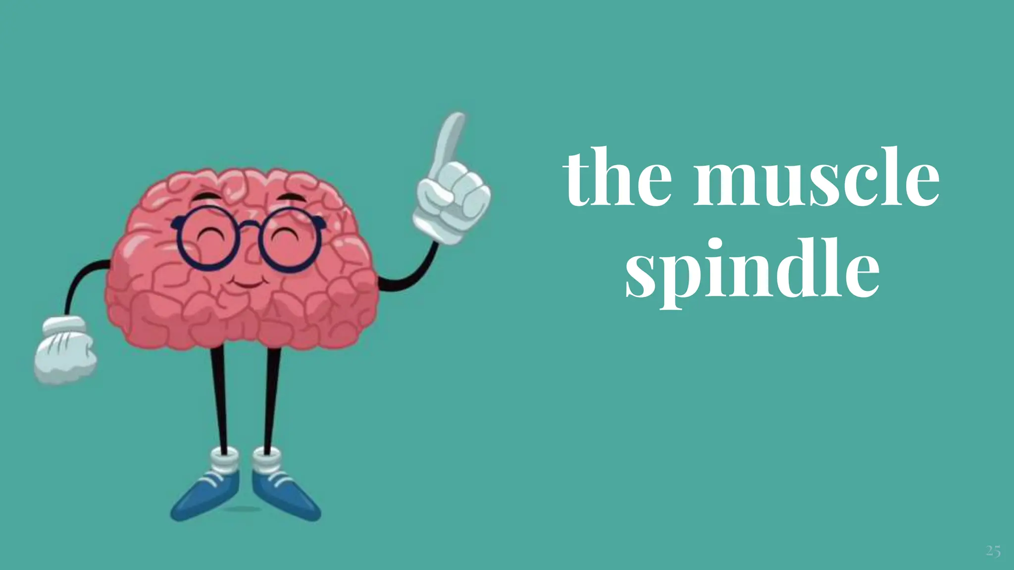 From Neuron To Brain Basics Of Neurosciencepptx 