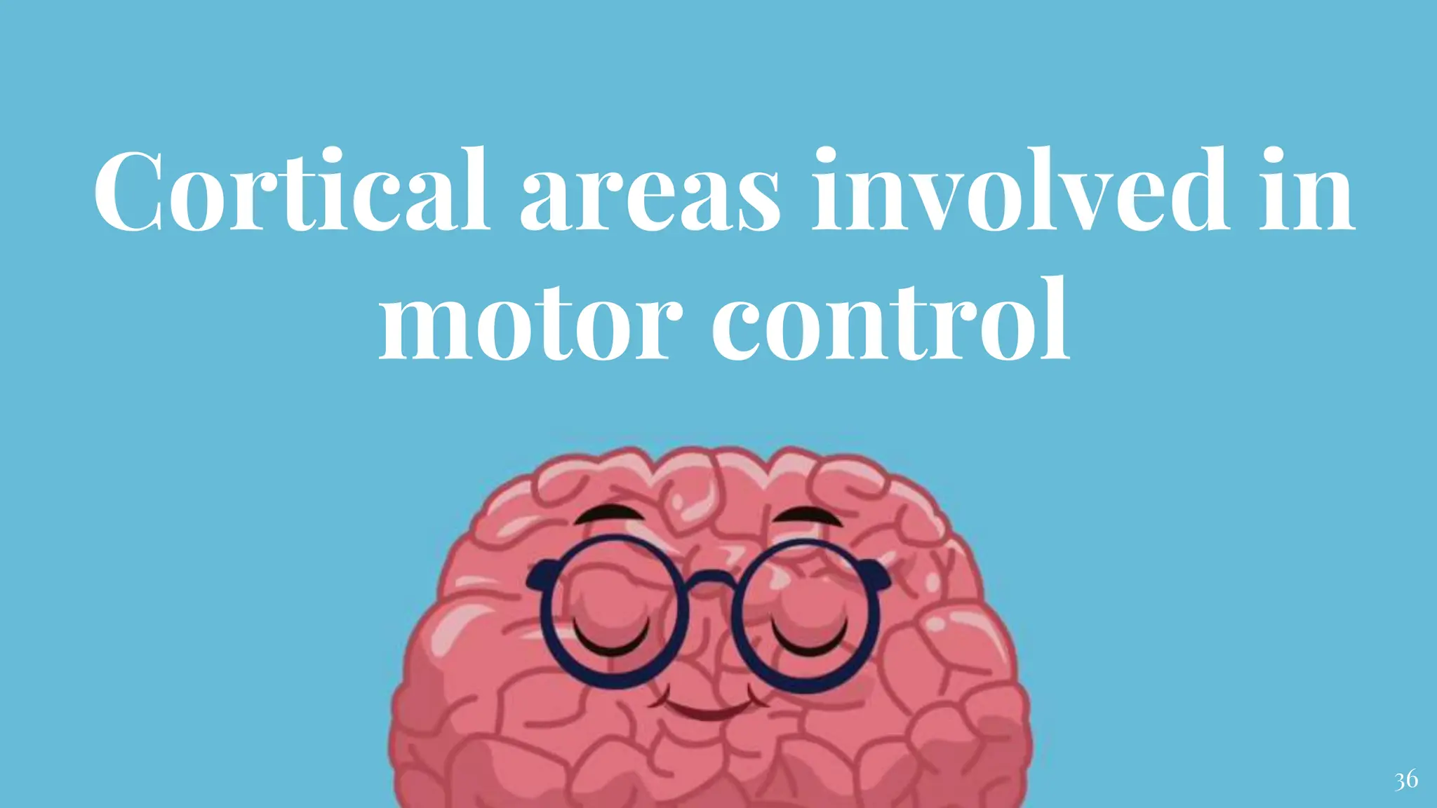 From Neuron To Brain, basics of neuroscience.pptx