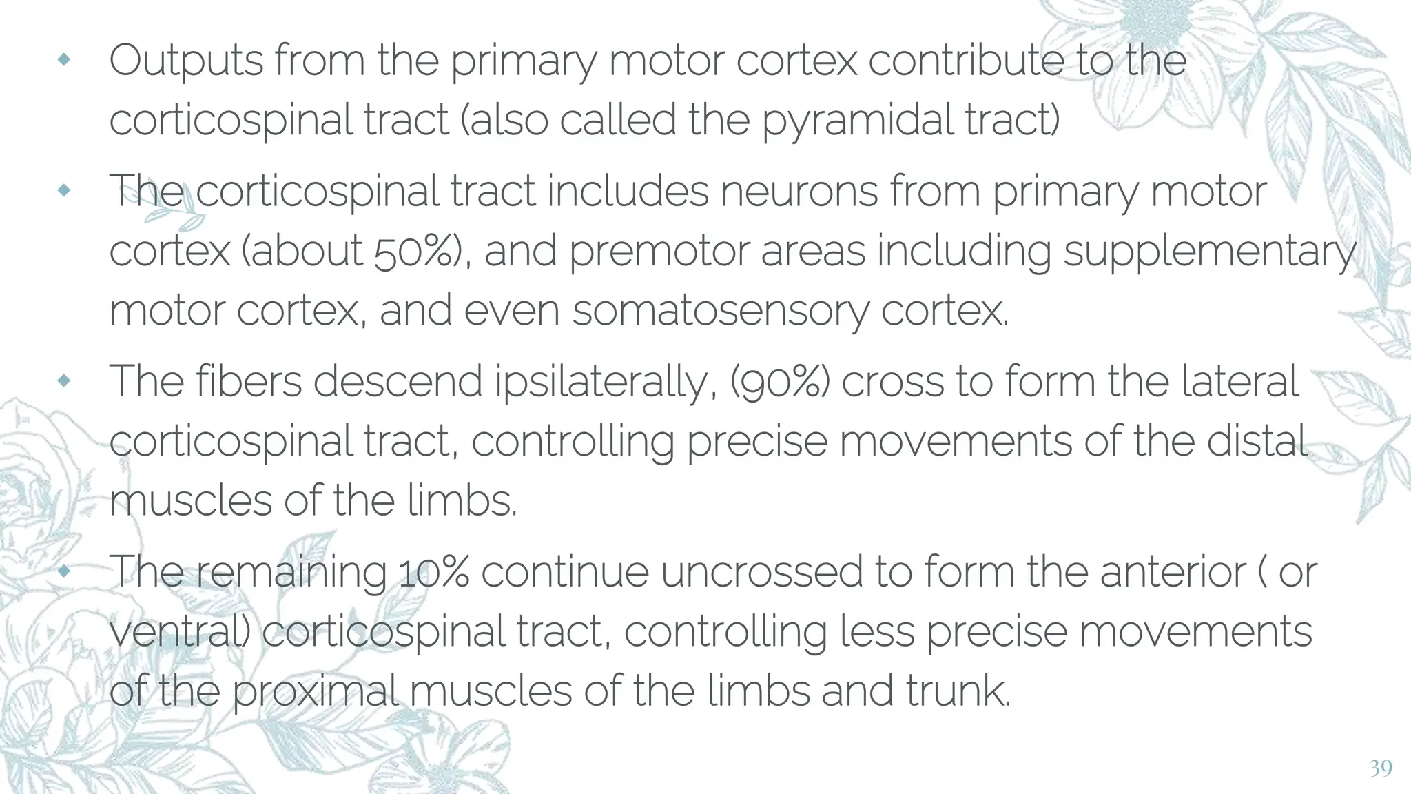 From Neuron To Brain Basics Of Neurosciencepptx