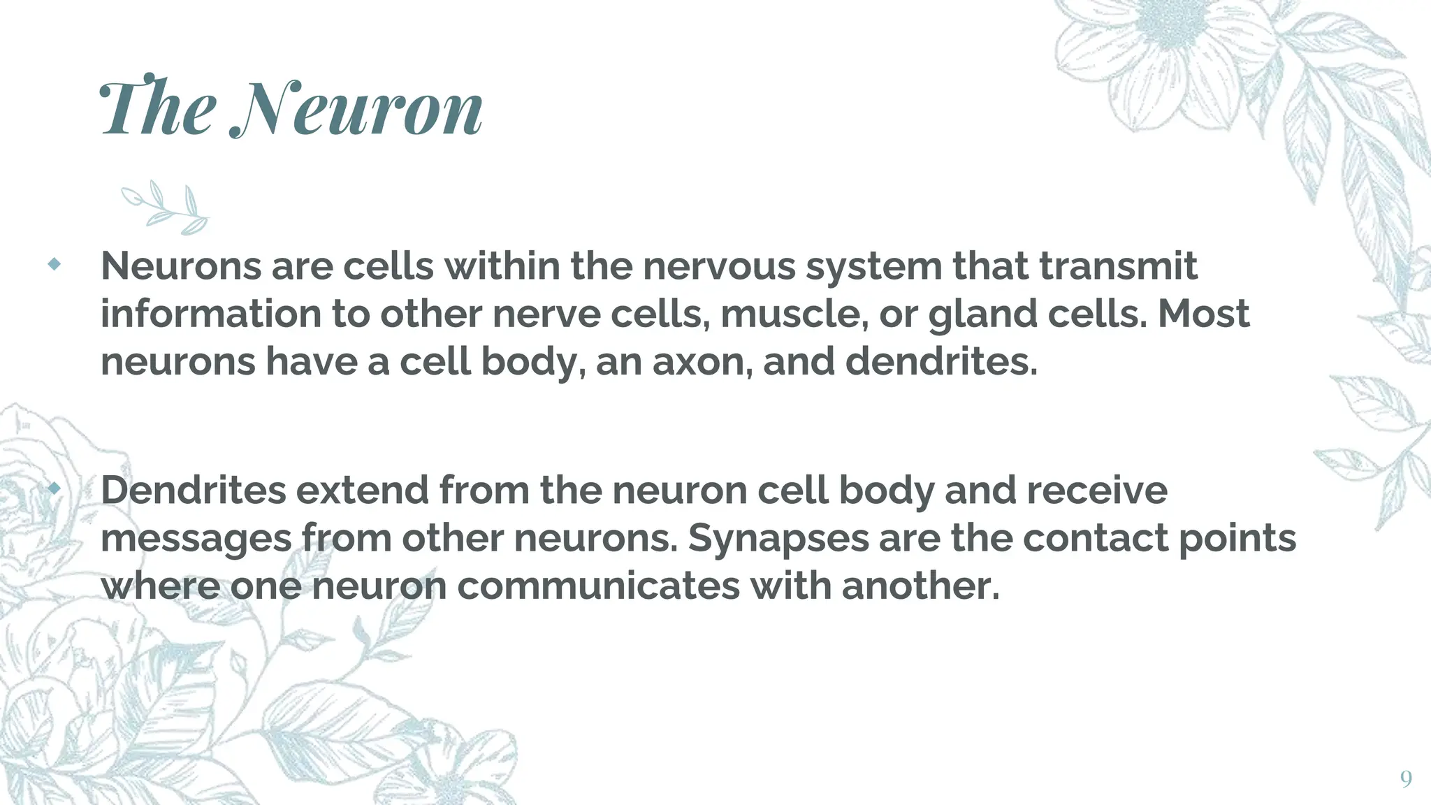 From Neuron To Brain, basics of neuroscience.pptx