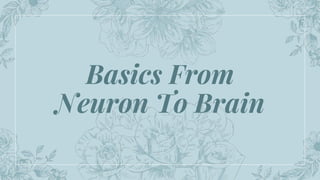 From Neuron To Brain, basics of neuroscience.pptx
