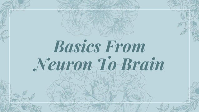 From Neuron To Brain, basics of neuroscience.pptx