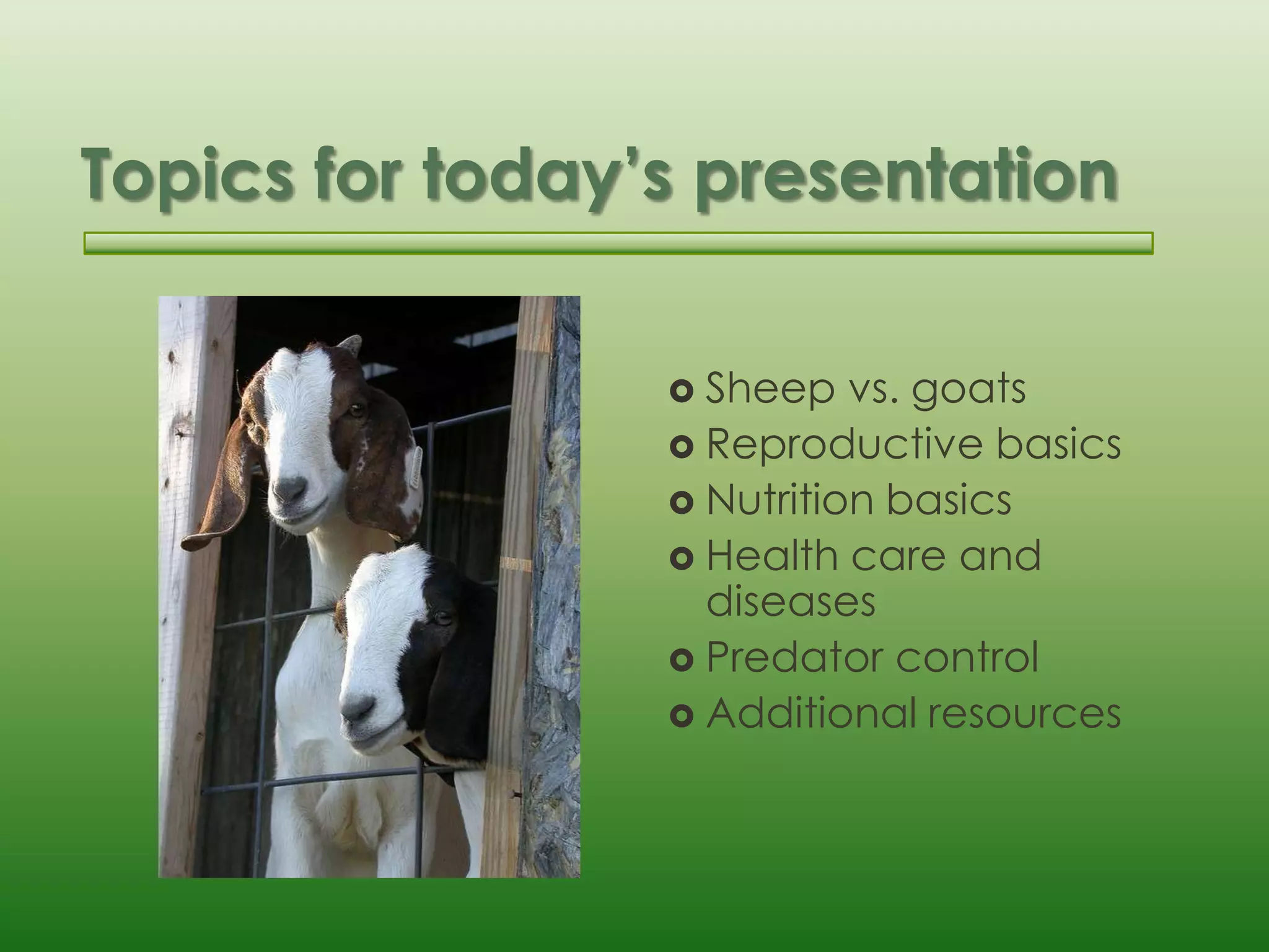 Basic sheep and goat husbandry | PPTX