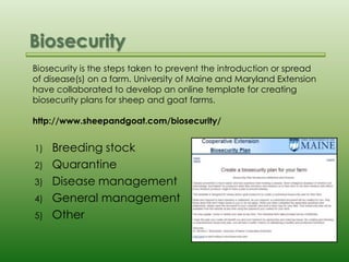 Basic sheep and goat husbandry | PPTX