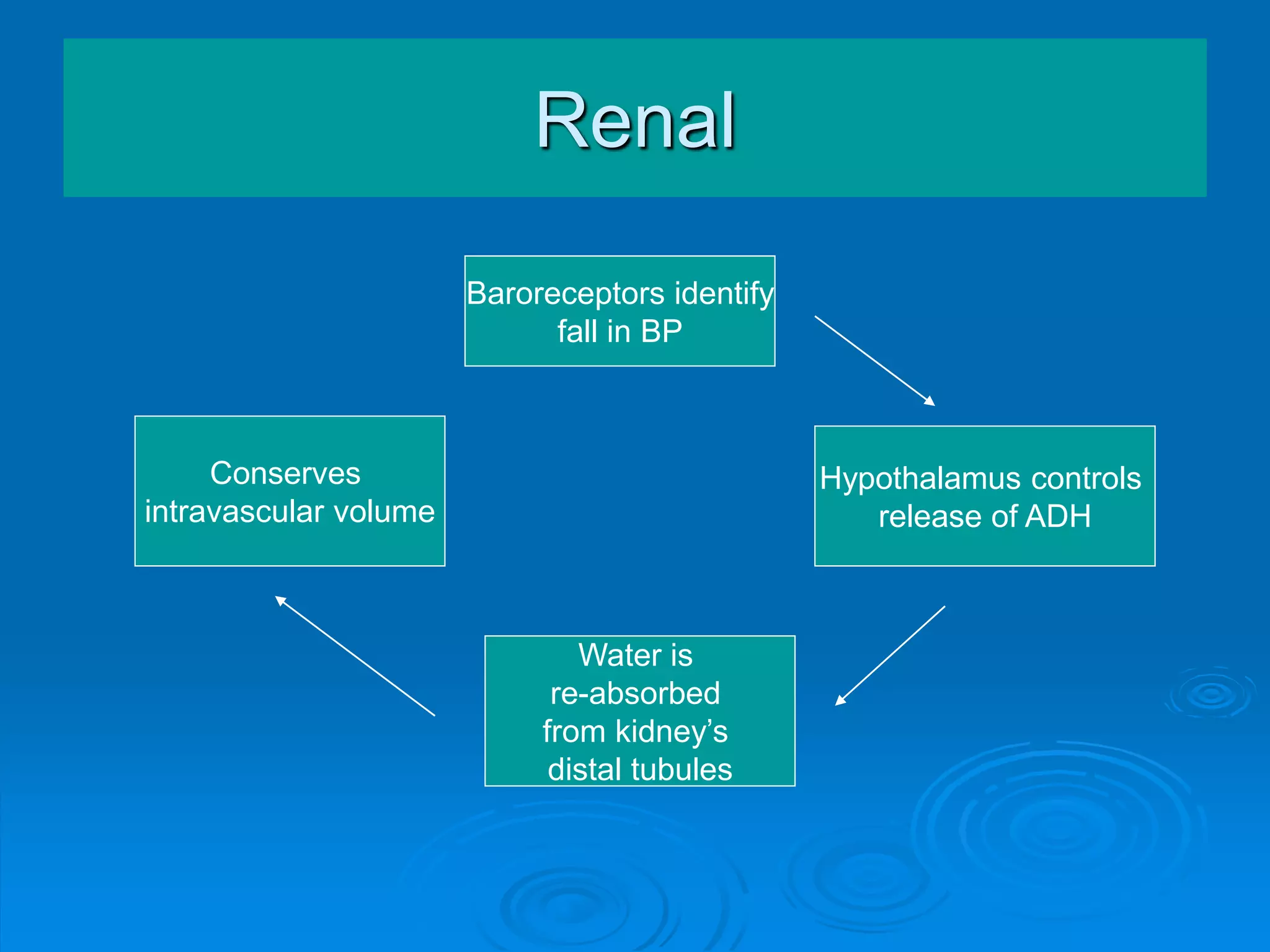 Basic_Shock_Presentation[1].ppt