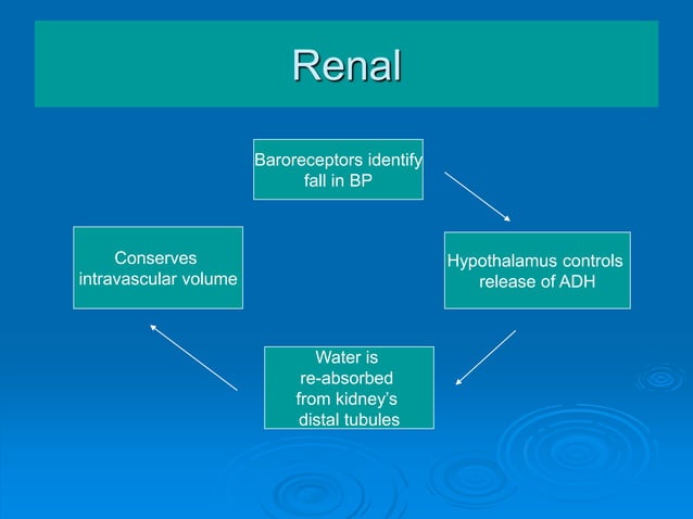 Basic_Shock_Presentation[1].ppt | Heart and Cardiovascular Diseases | Diseases and Conditions