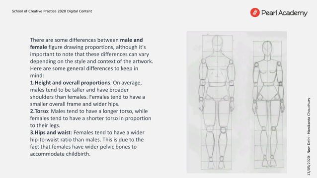 Basics Human figure drawing.pdf