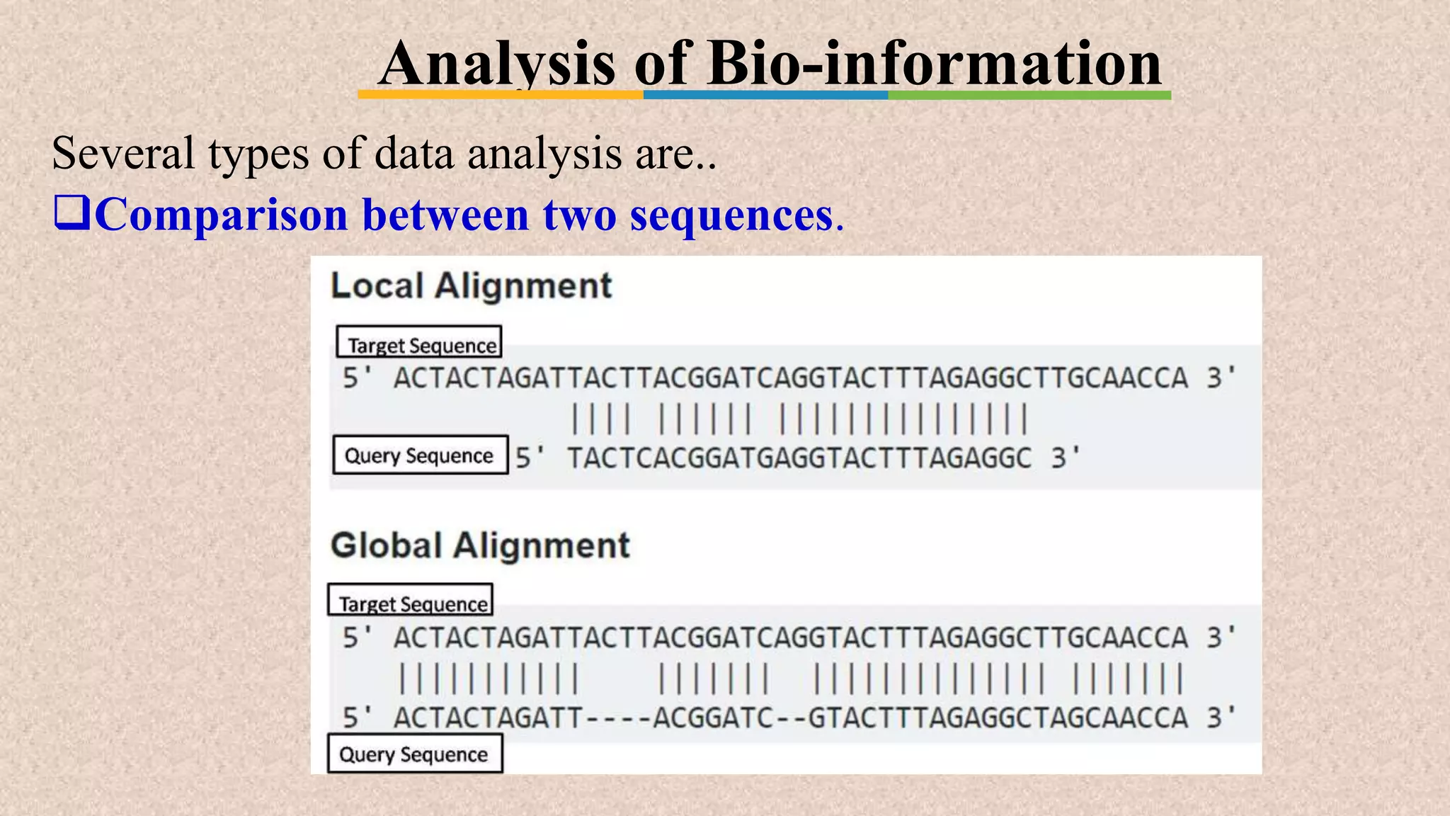 Basics in bioinformatics | PPTX