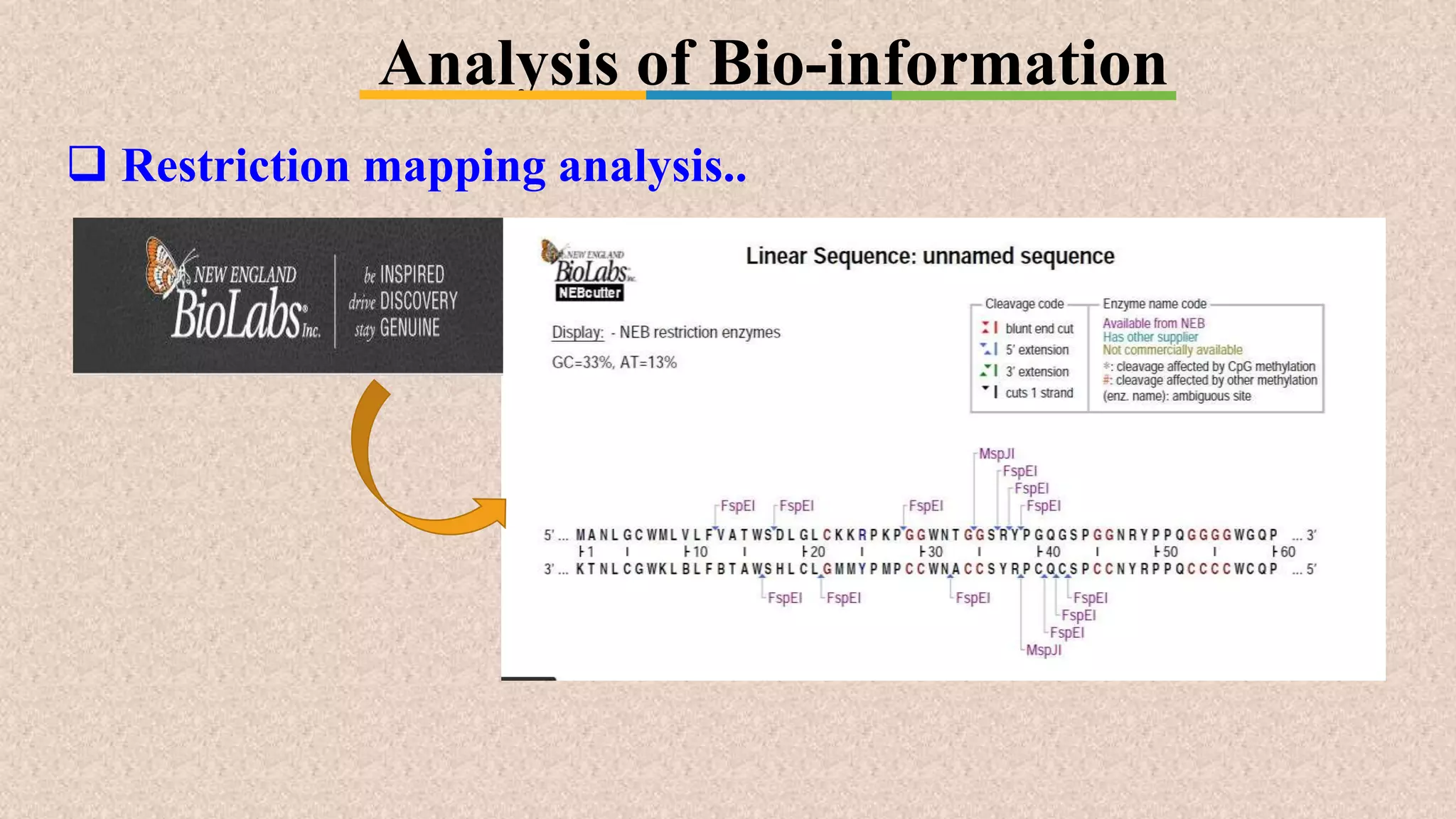 Basics in bioinformatics | PPTX