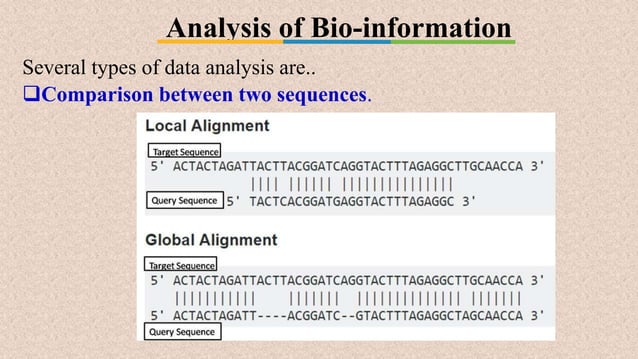 Basics in bioinformatics | PPTX