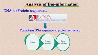 Basics in bioinformatics | PPTX