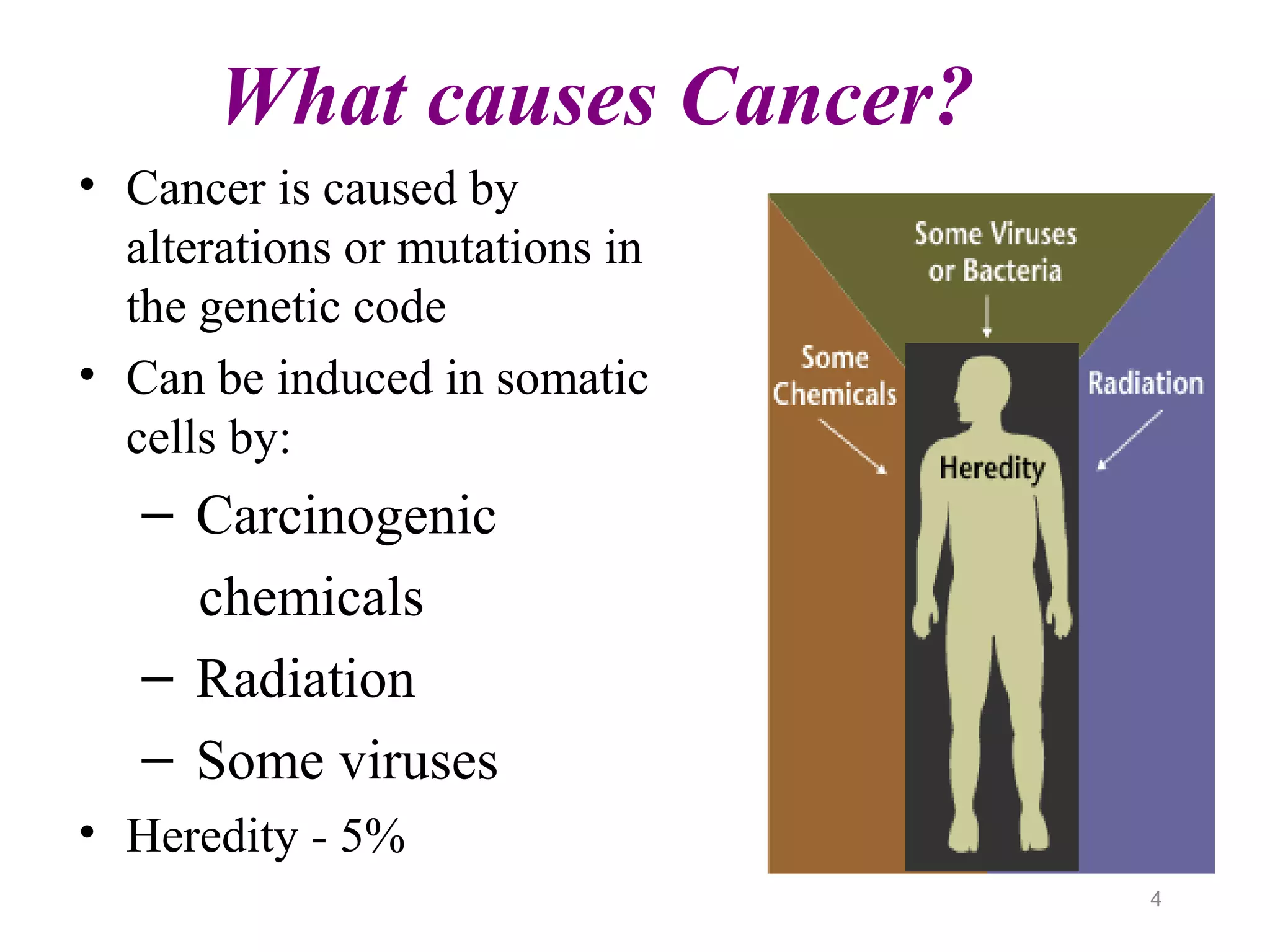 Basics in cancer biology.pdf
